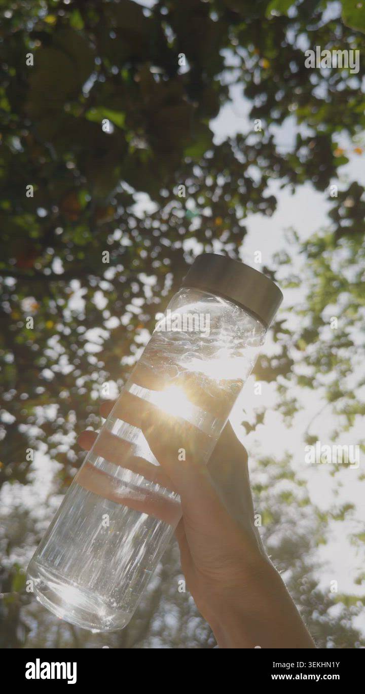 Nature Sunlight Through Reusable Glass Water Bottle Stock Video Footage ...