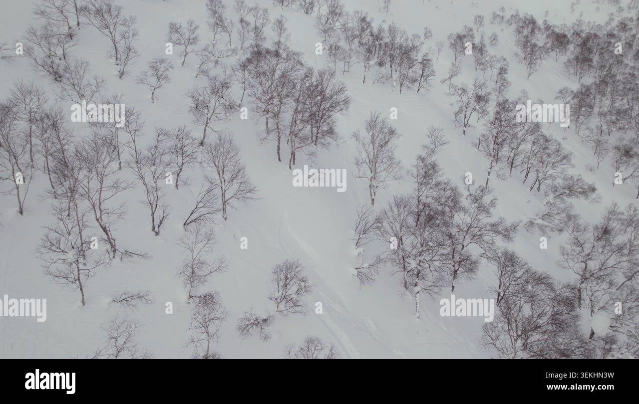 Ski touring in the Japanese mountains Stock Video Footage - Alamy