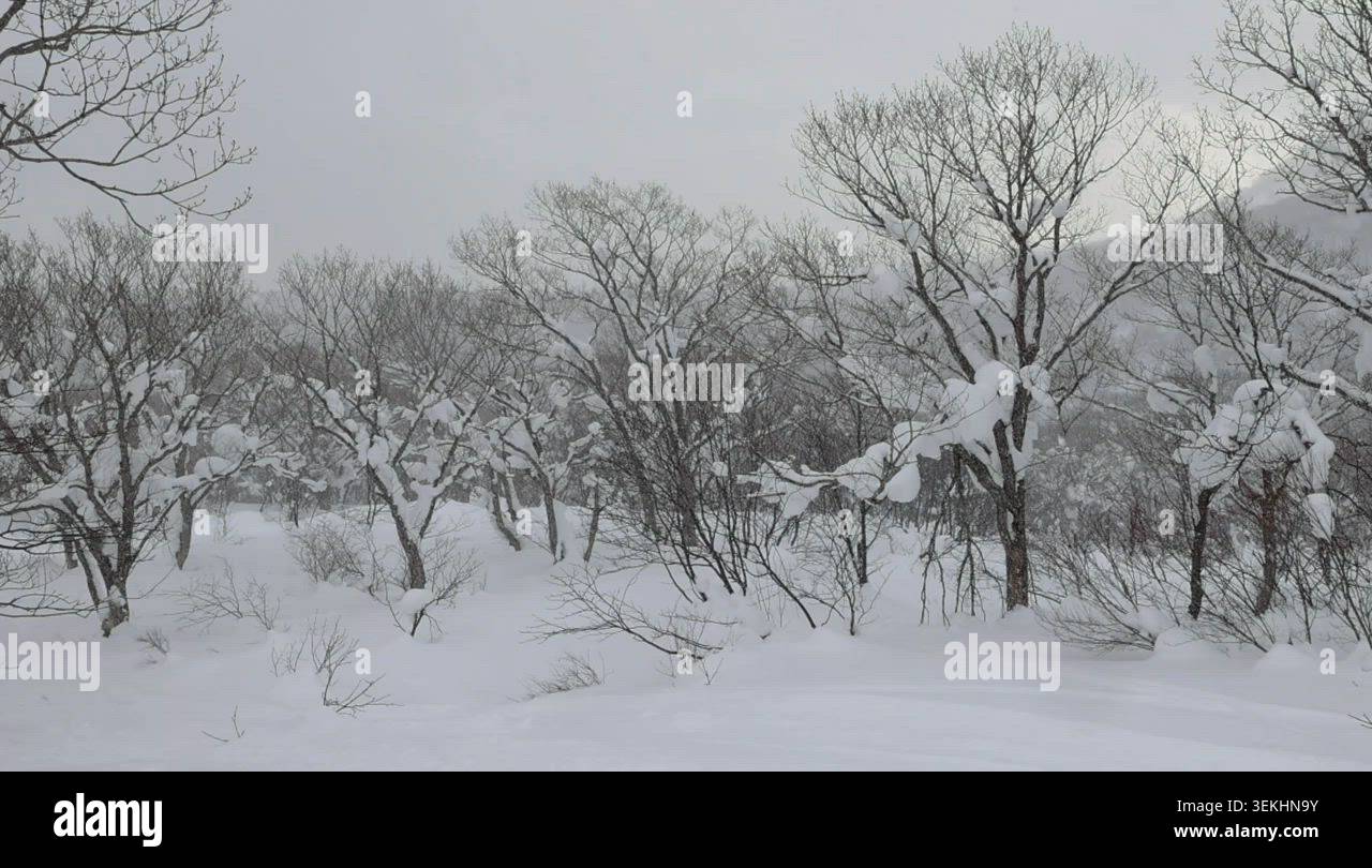 Snowing in the japanese mountains Stock Video Footage - Alamy