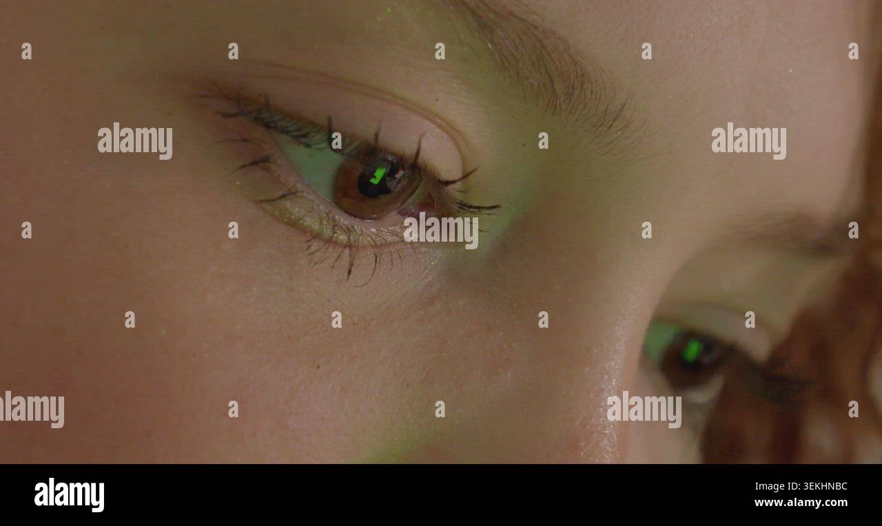 Student's eyes reflecting computer screen during study session Stock ...
