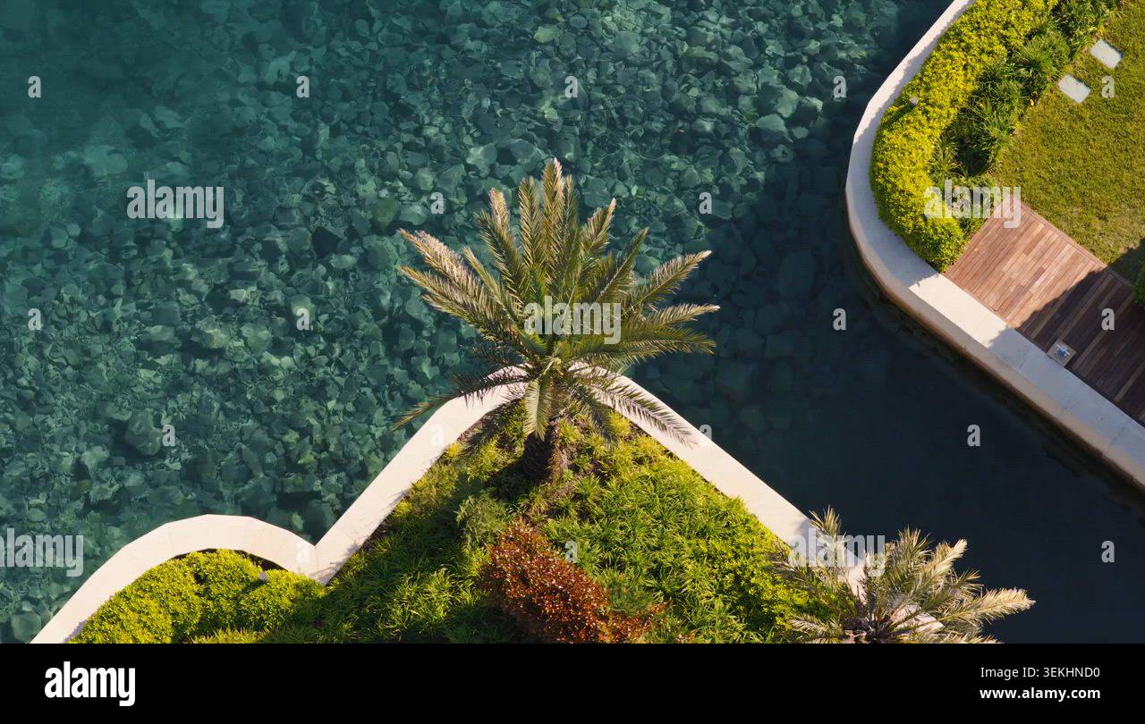 Palm Tree Near Clear sea Water in a Modern Landscape Stock Video ...