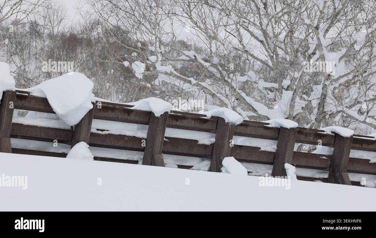 Snowing in the japanese mountains Stock Video Footage - Alamy
