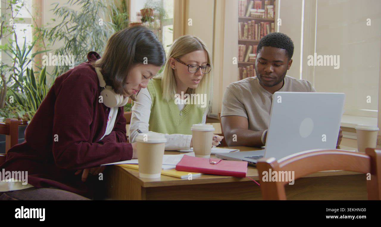 Diverse students working together in university library Stock Video ...