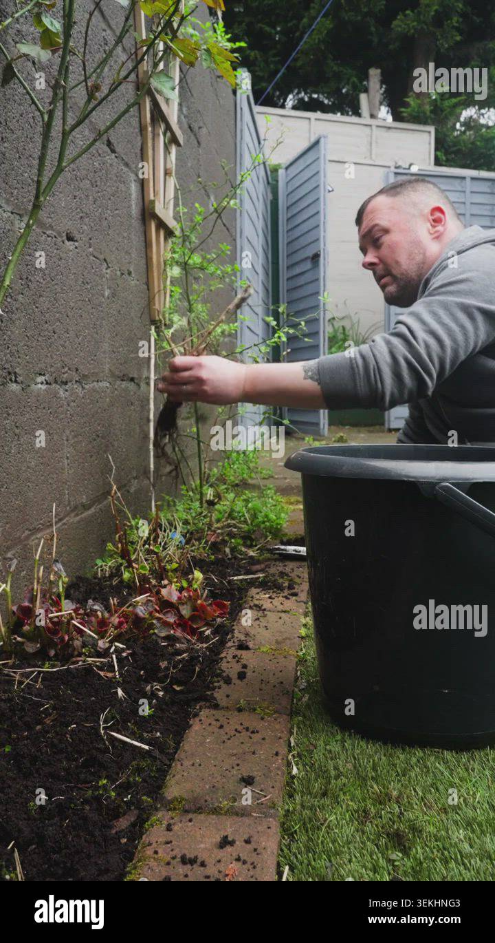 Gardening Cleaning and Planting in a Backyard in Ireland During Spring ...