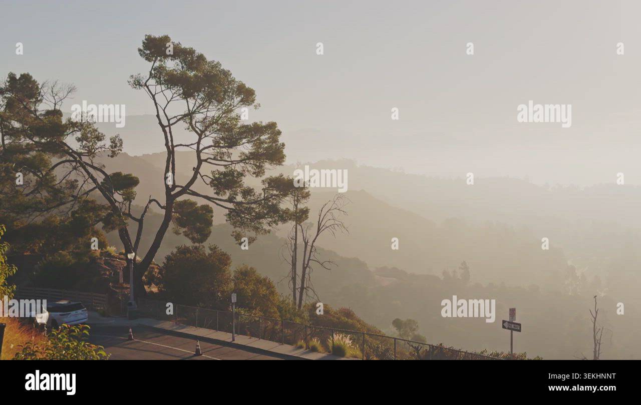 Landscape City smog Los Angeles California backlit tree Stock Video ...