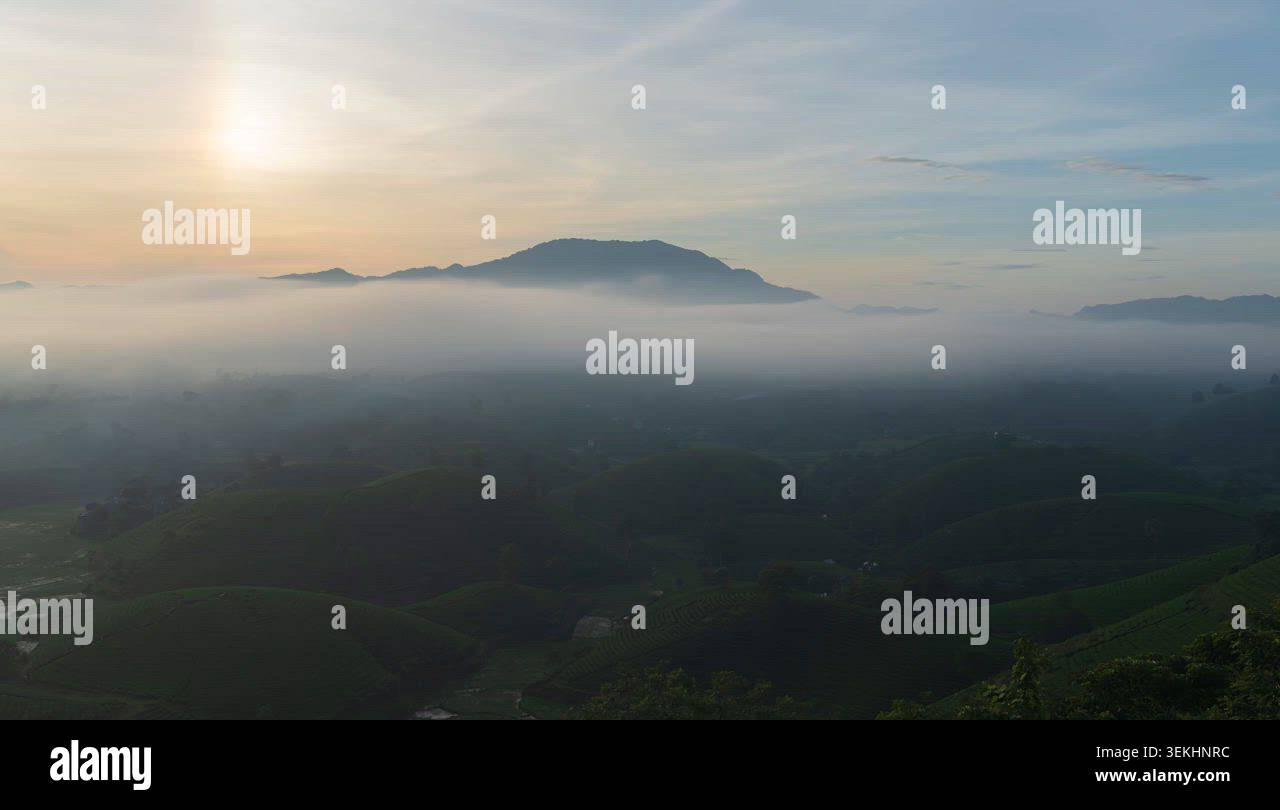 Sunrise Fog Timelapse Scene Stock Video Footage - Alamy