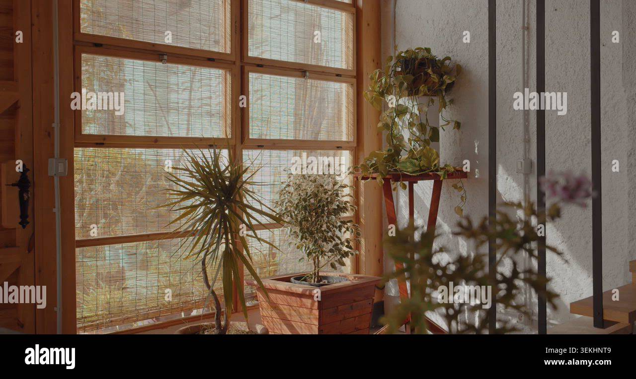 Sunlit wooden interior with floating Stairs Stock Video Footage - Alamy
