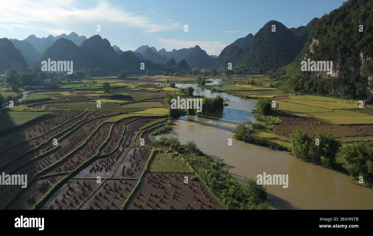River and rice fields Stock Video Footage - Alamy