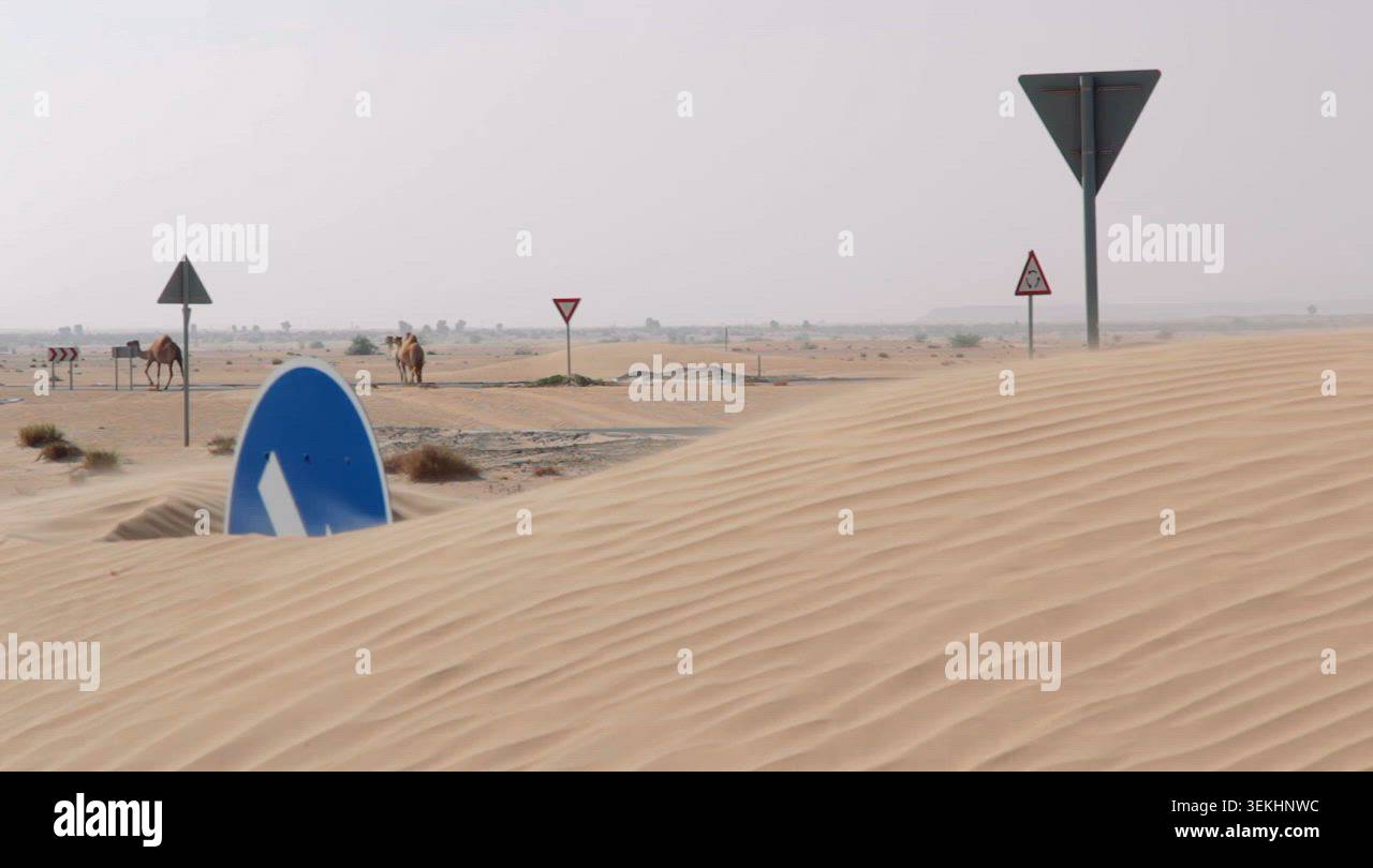 Roundabout road traffic circle signs buried under desert sand dune ...