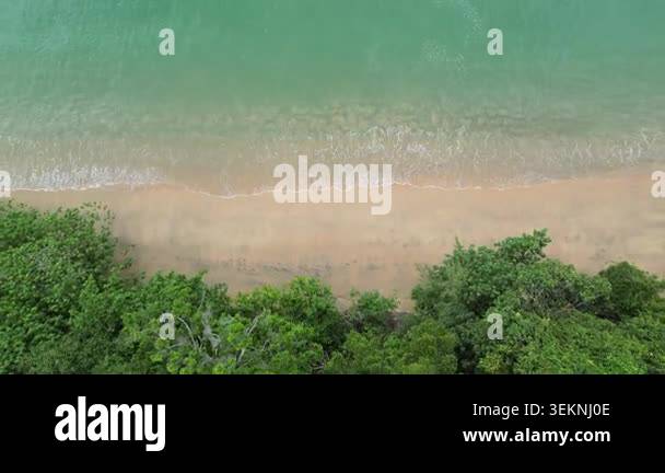 Top-down aerial view of sandy beach with lush greenery and turquoise ...