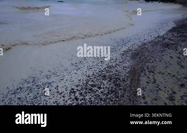 Ecological pollution in the Black Sea: vegetable oil spill and ...