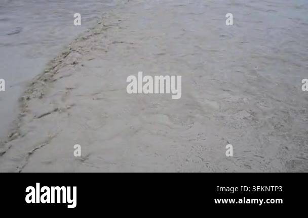 Ecological disaster in the Black Sea: spill of vegetable oil and ...
