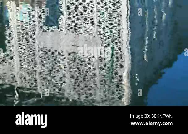 Alabama, Dauphin Island, Reflection on the water surface creating an ...