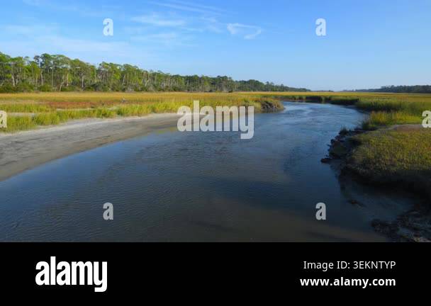 Driftwood Beach on the north end of Jekyll Island, Georgia. A tidal ...
