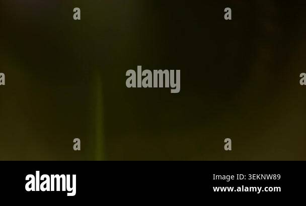 Slow motion of lens flare isolated on black background. Anamorphic lens ...
