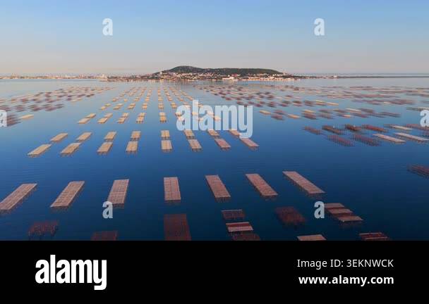 The Thau lagoon and its tables at sunset Stock Video Footage - Alamy