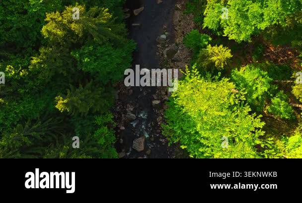 Gentle flyover above a rocky mountain river during spring sunrise with ...