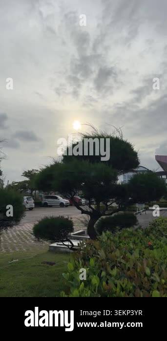 beautiful view of the city park Stock Video Footage - Alamy
