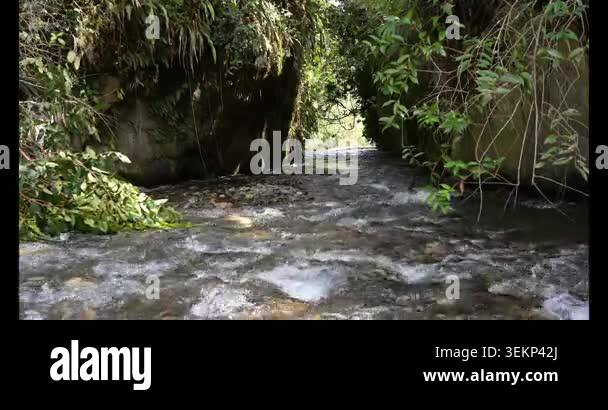 Mountain stream flowing rapidly through a narrow canyon surrounded by ...