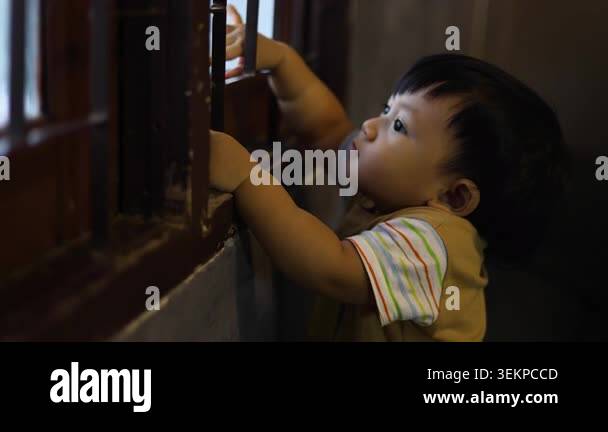 Toddler Learning To Ride Balance Bike, A sweet video of a toddler ...