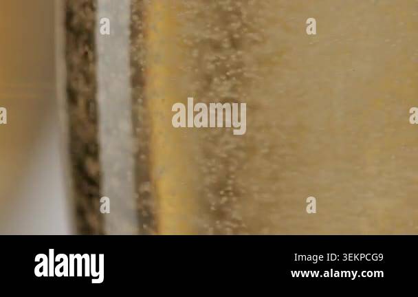 Extreme close-up of sparkling golden wine in a flute with fizzy bubbles ...
