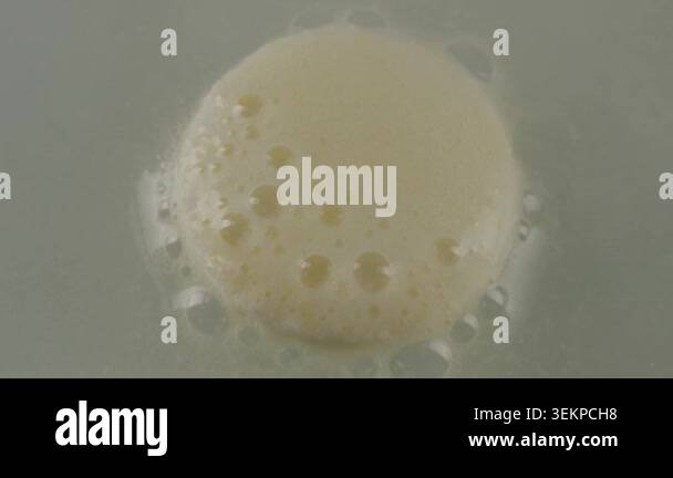 Foamy whipped egg whites creating foam in extreme close up ...
