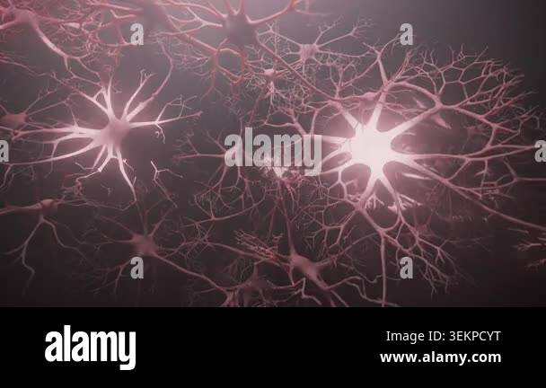 Biological neuron cells with synapses in human brain firing signals ...