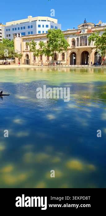 An idyllic park on a sunny day, with a large, greenish pond in the ...