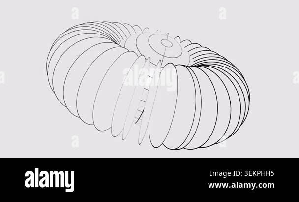 vector hand drawn illustration of a snail Stock Video Footage - Alamy