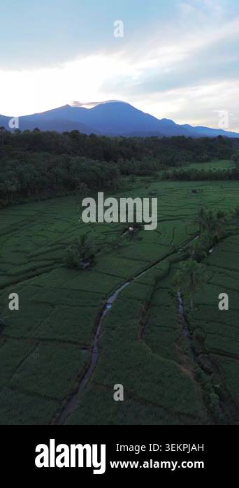 aerial view of beautiful sunset with rice field, bali island, indonesia ...