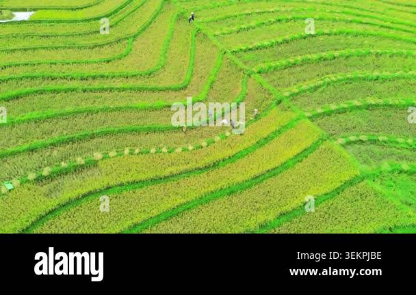 beautiful view of natural scenery Stock Video Footage - Alamy