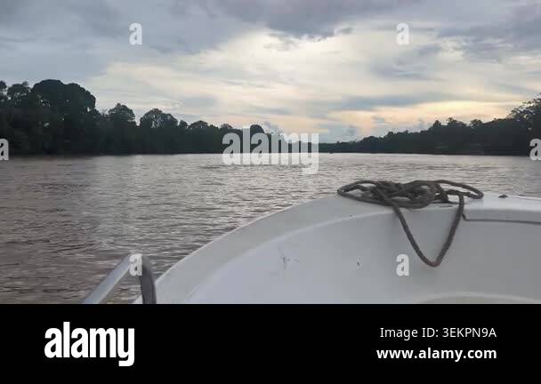 River navigation in the Borneo jungle Stock Video Footage - Alamy
