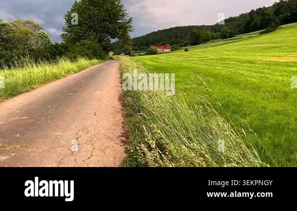 a vertical shot of a green grass and a tree in the background Stock ...