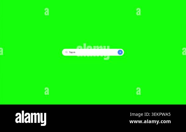 Animated search bar with typing text and cursor on green screen Stock ...