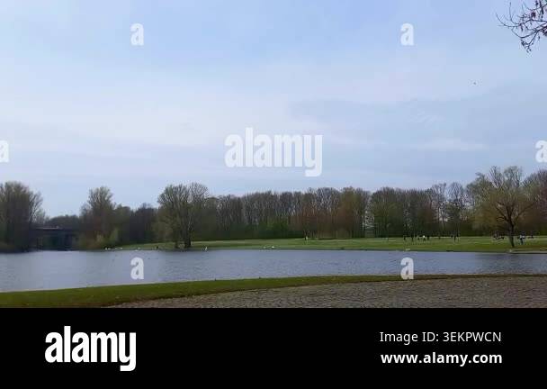 Spring day at Rheinaue leisure park in Bonn, quiet lake with trees and ...