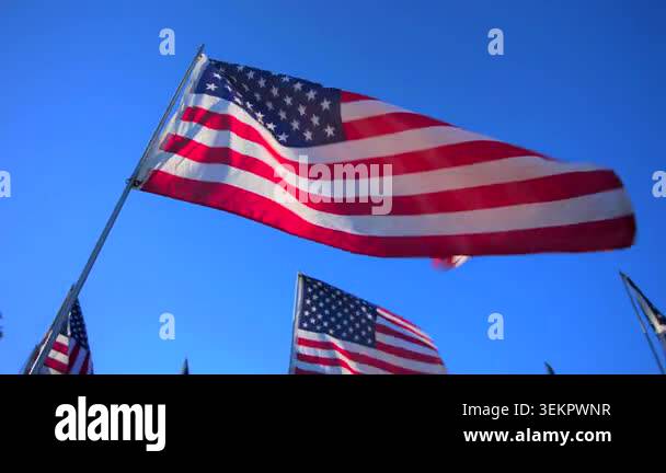 Multiple American flags wave majestically against a brilliant clear ...