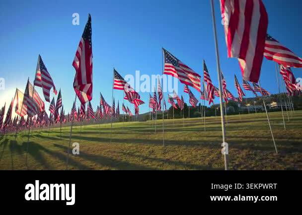 Rows of American flags wave gracefully on metal poles across a sunlit ...