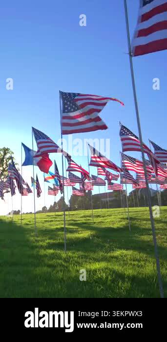 Vertical Screen: USA Flag September 11 memorial tribute featuring rows ...