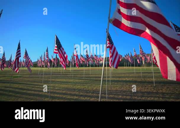 Rows of American flags wave gently on metal poles across expansive ...