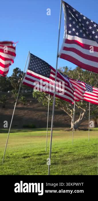 Vertical Screen: USA Flag September 11 memorial tribute display ...