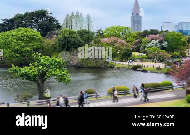 People stroll around a scenic pond surrounded by lush spring greenery ...