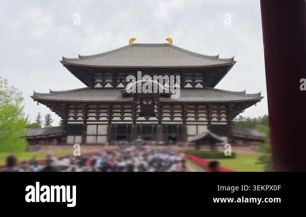 Wide shot of Todai-ji Temple in Nara during spring daytime. Tourists ...