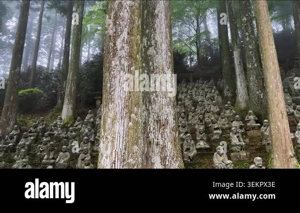 Dozens of ancient stone Arhat statues are scattered across a mossy ...
