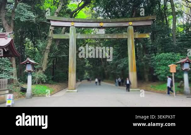 The massive wooden torii gate standing at the entrance to Meiji Jingu ...