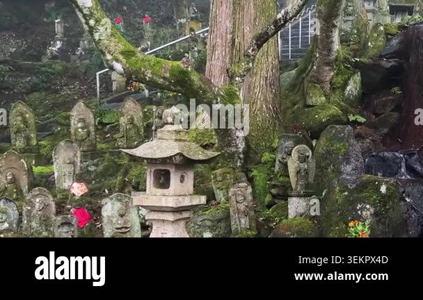 Mossy stone Rakan and Buddhist statues stand on the green hillside of ...