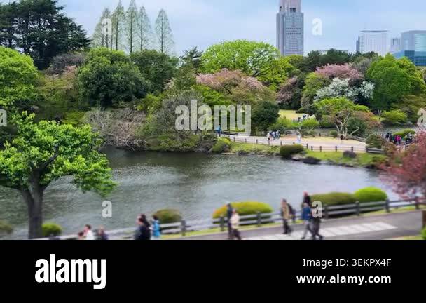 People stroll around a scenic pond surrounded by lush spring greenery ...