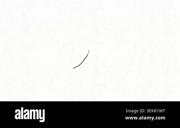 Animated goose icon with blue beak inside a circle in bright playful ...