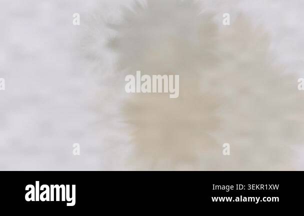 Motioning Blurred Shapes in Soft Ambient Setting Stock Video Footage ...