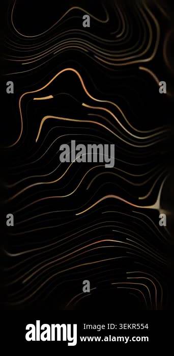 Golden contour light waves on deep black background. Flowing metallic ...