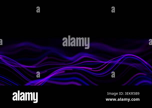 Abstract waves oscillation on black background. Purple blue neon audio ...